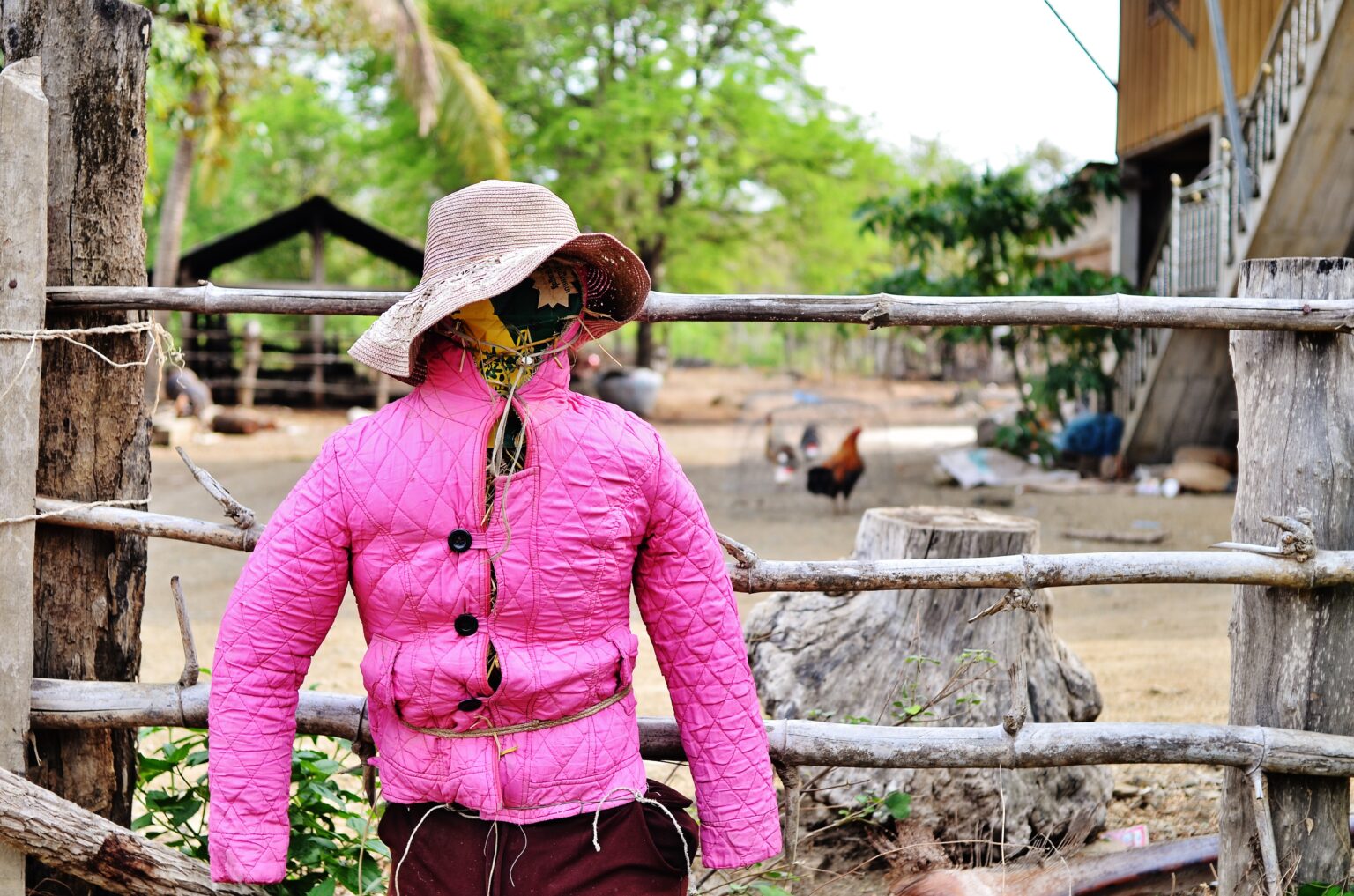 Kambodscha: Bewacht und beschützt durch Ting Mong - soa 1 | 2021